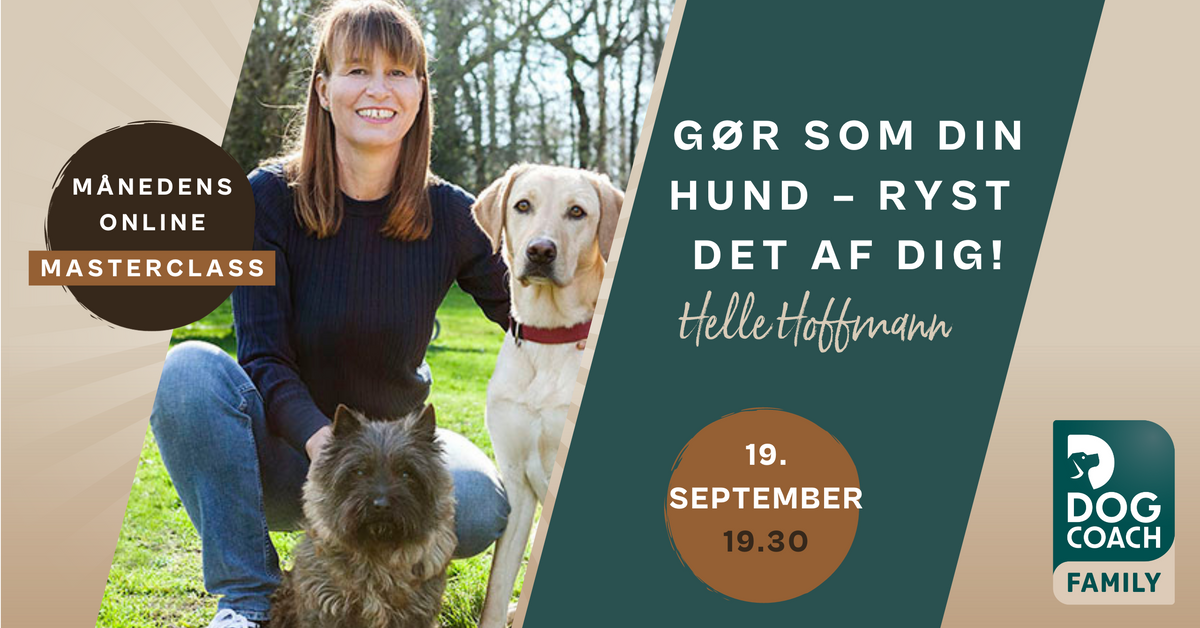 Gør som din hund – ryst det af dig! – DogCoach
