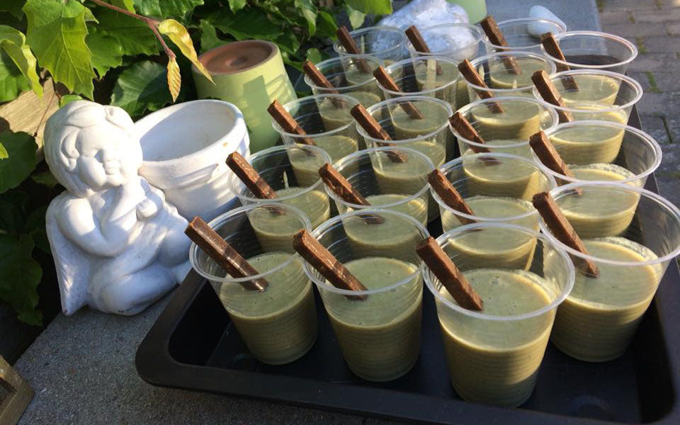 Delicious dog ice cream – DogCoach