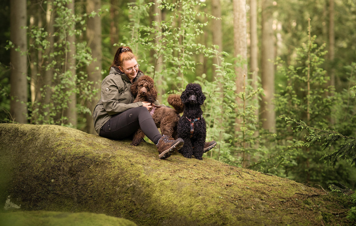 Which dog breed suits your zodiac sign? – DogCoach