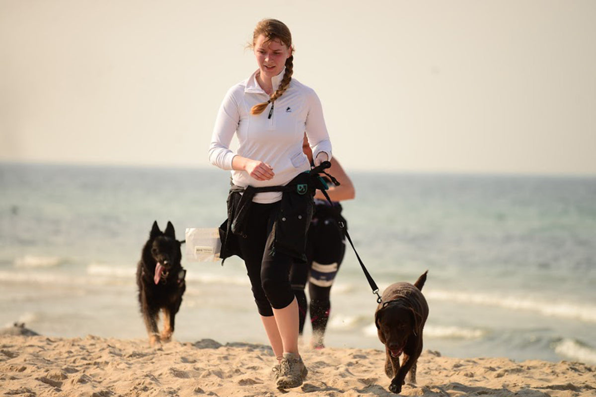 Over sticks and stones – DogCoach