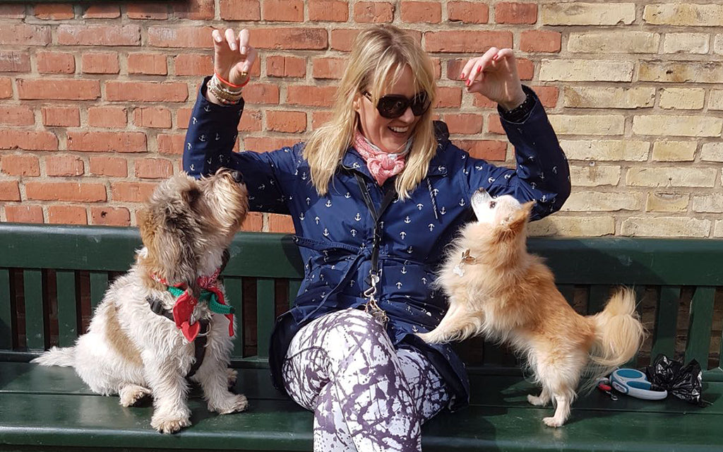 Ears and hanging ears – DogCoach