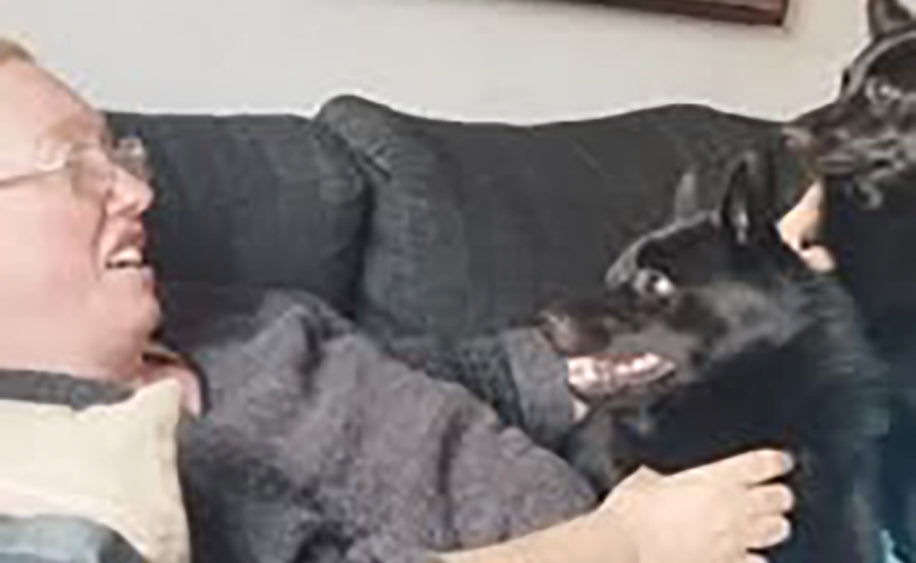 Crazy dog….. – DogCoach