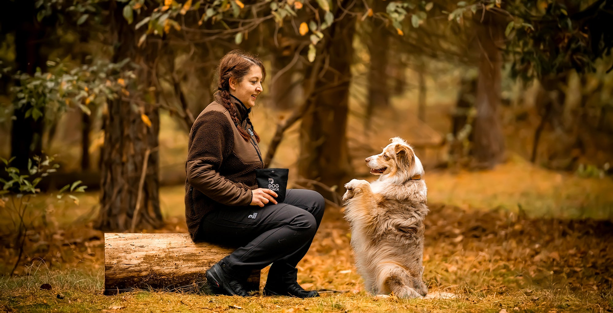 Last Chance – DogCoach