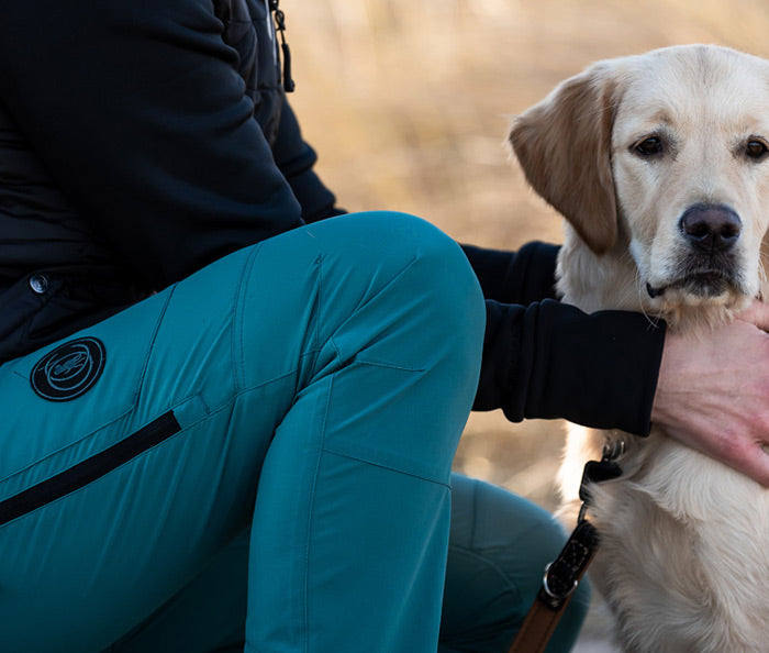 Boundaries for both boys – DogCoach